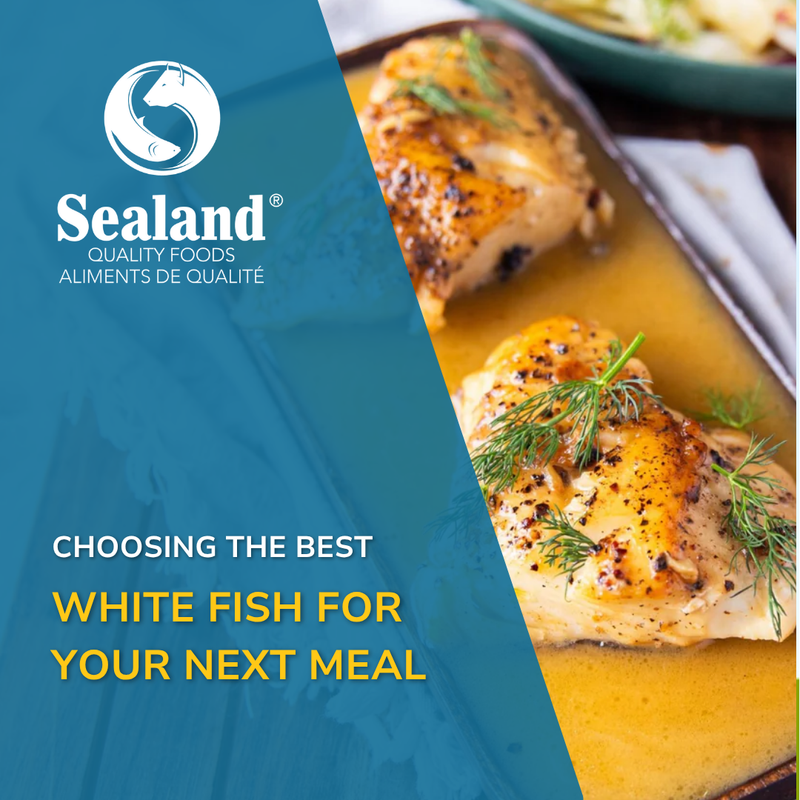How To Choose The Best White Fish – Sealand Quality Foods
